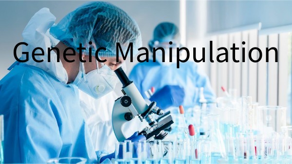 Genetic manipulation | Genially