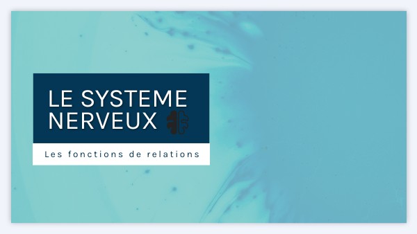 SYSTÉME NERVEUX