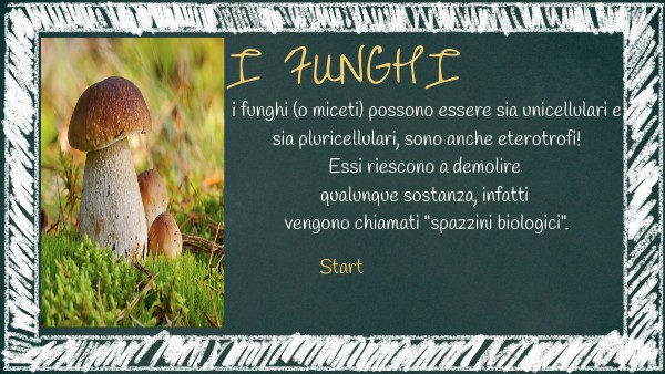 I FUNGHI