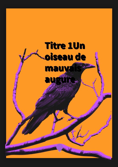 Copie - LE CORBEAU OISEAU DE MAUVAISE AUGURE