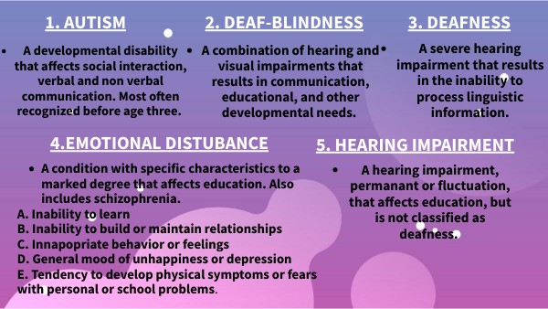 Copy - 13 Special Education Categories
