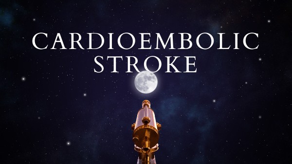 CARDIOEMBOLIC STROKE | Genially