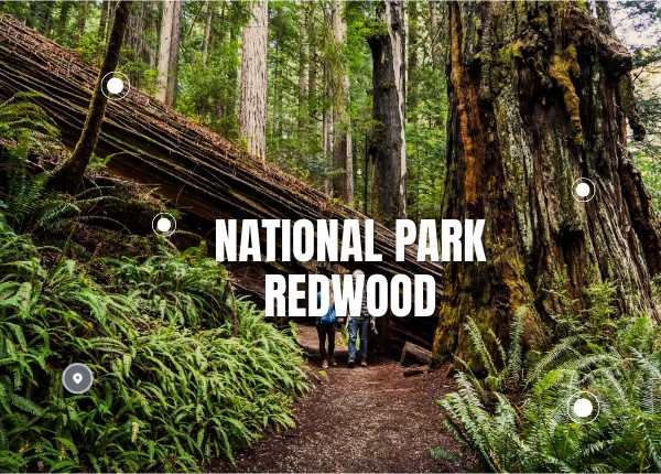 NATURE INTERACTIVE IMAGE