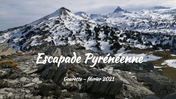 MOUNTAIN GALLERY VIDEO