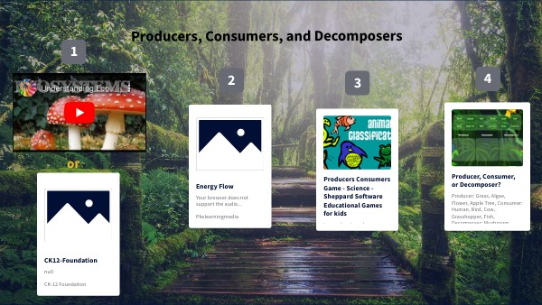 Producers, Consumers, and Decomposers | Genially