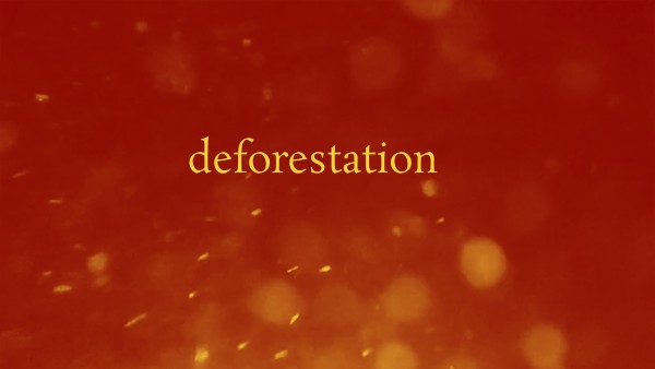 deforestation english presentation | Genially