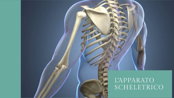 lavoro scienze | Genially