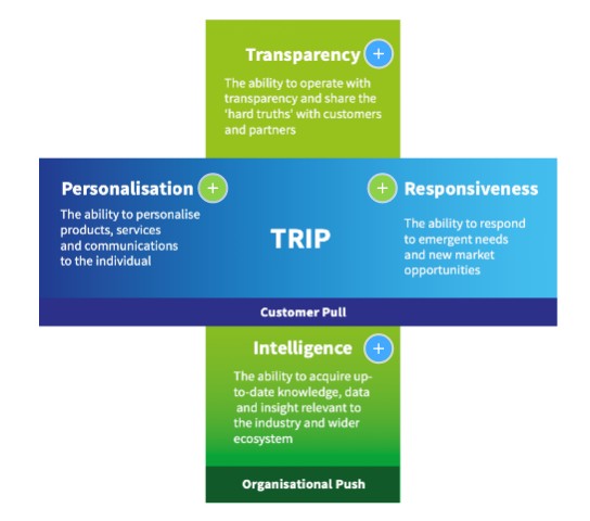 TRIP FRAMEWORK