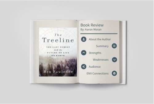 The Treeline - Aaron Moran | Genially