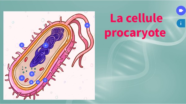 Copie - La cellule eucaryote et procaryote