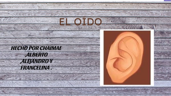 El oído
