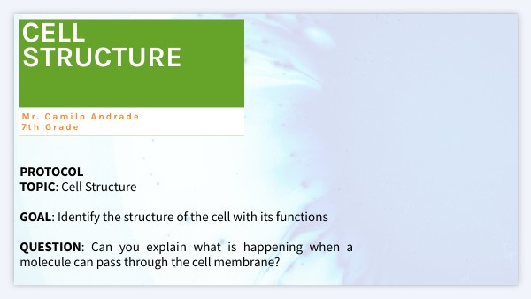 Cell Structure 7th grade