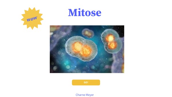 Mitose Lesaanbieding