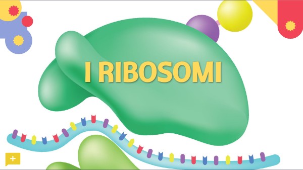 I RIBOSOMI GRUPPO 4