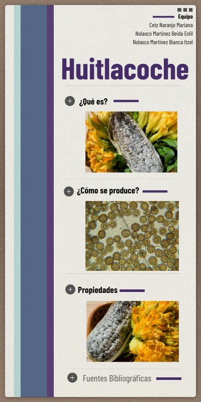 INFOGRAFÍA HUITLACOCHE | Genially