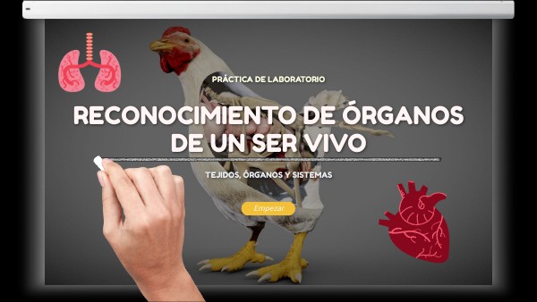 DISECCIÓN DE POLLO | Genially