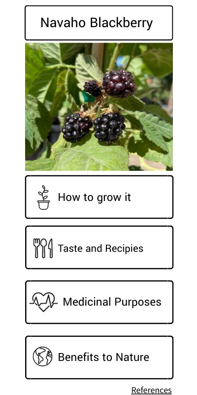Navaho Blackberry example