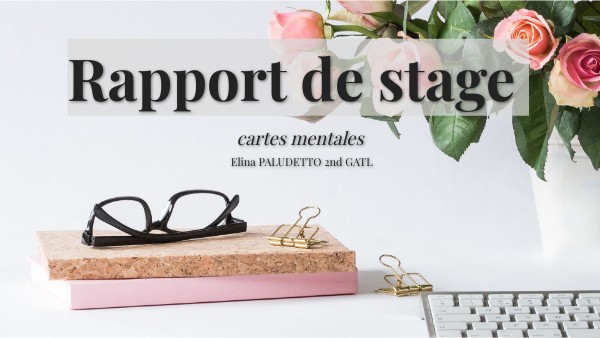 Rapport de stage | Genially