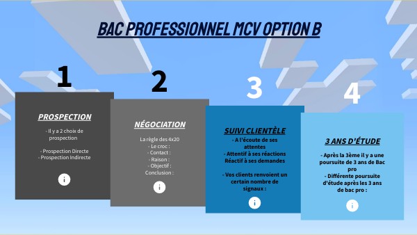 Bac pro mcv option b