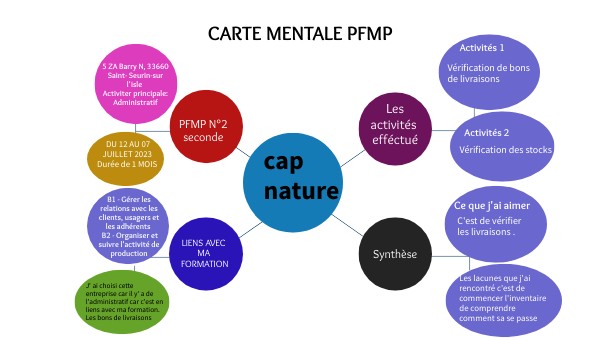 CIRCULAR MIND MAP SCHEME