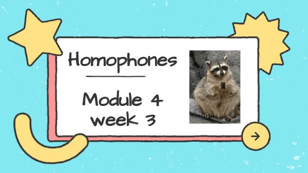 Module 4 week 3 Homophones | Genially