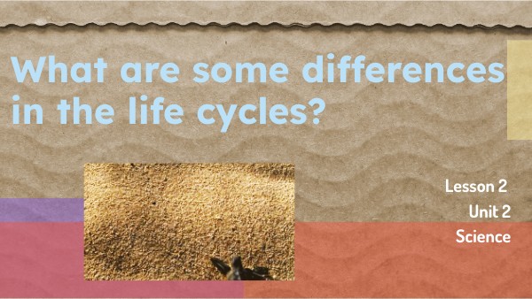 Lesson 2 and 3 phenomenal science