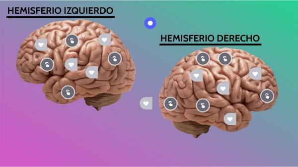 Esquema del Cerebro | Genially