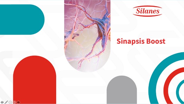 Sinápsis Boost