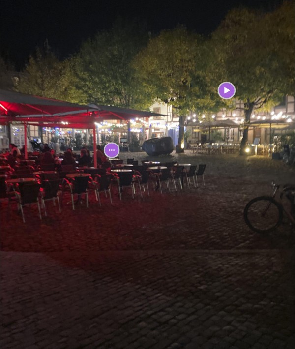 Raphael Raude | Genially