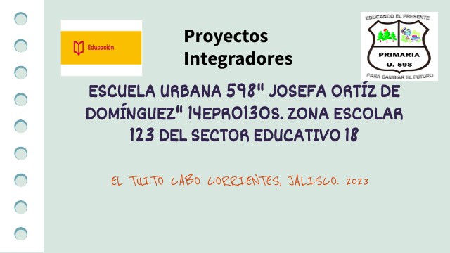 VIDEO PROYECTOS INTEGRADORES