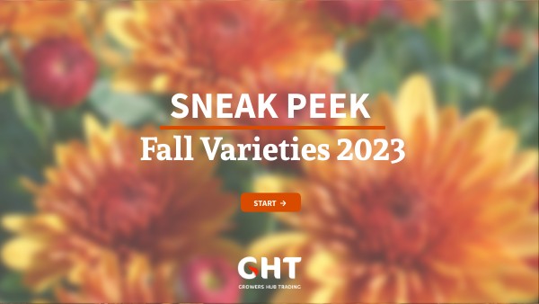Copia - Fall Varieties 2023 | Genially