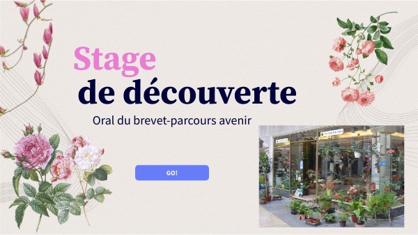 Copie - BASIC PRESENTATION