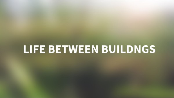 LIFE BETWEEN BUILDINGS
