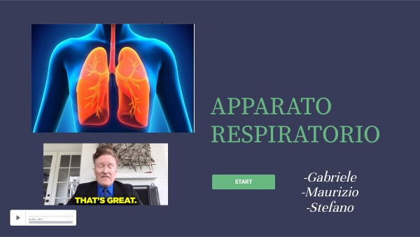 APPARATO RESPIRATORIO