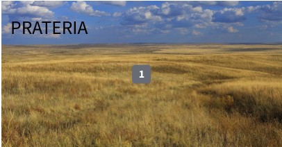 Immagine interattiva sulla prateria e la steppa | Genially