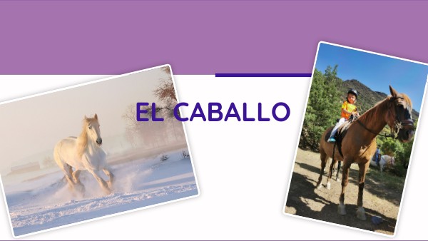 EL CABALLO