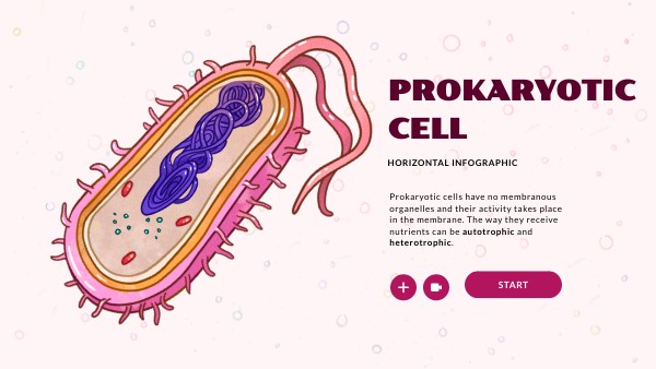 PARTS OF A PROKARYOTIC CELL | Genially