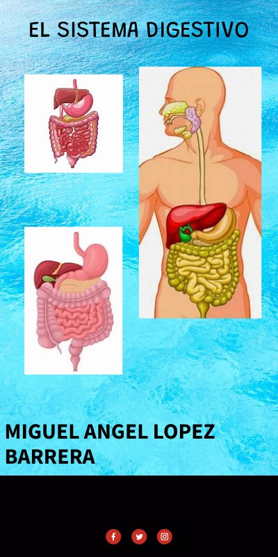 INFO VERTICAL DIGESTIVO