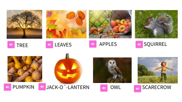 AUTUMN PICTURE DICTIONARY