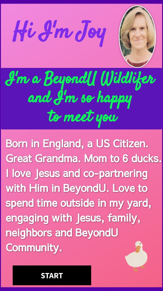 Joy's Virtual Phone Branding