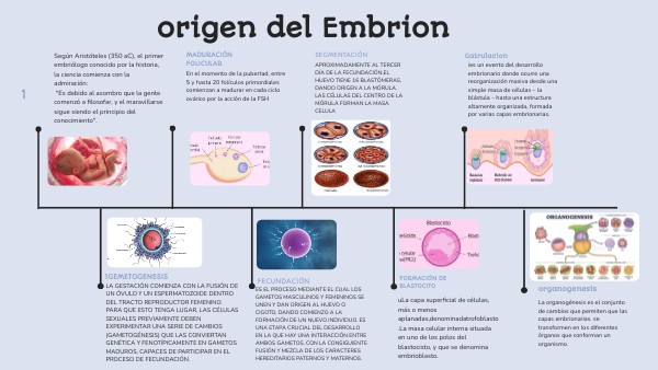 ORIGEN DEL EMBRION