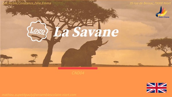 CND 04 PROJET ROBOT LA SAVANE