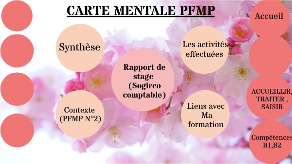 Rapport de stage 2 | Genially