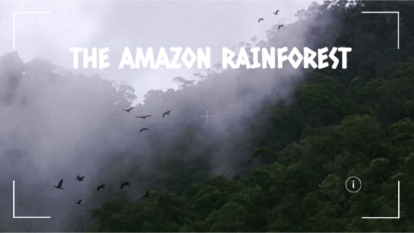 Amazon Rainforest | Genially