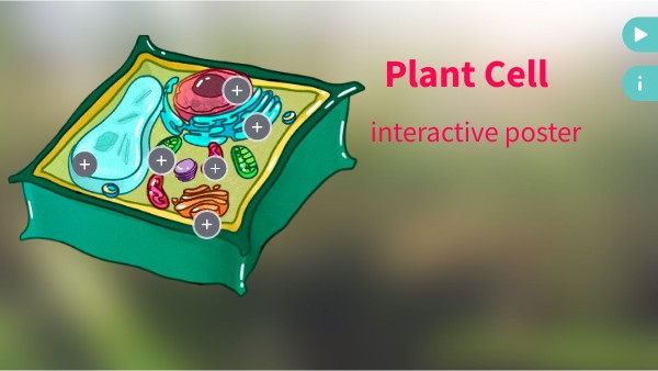 Interactive Plant cell poster