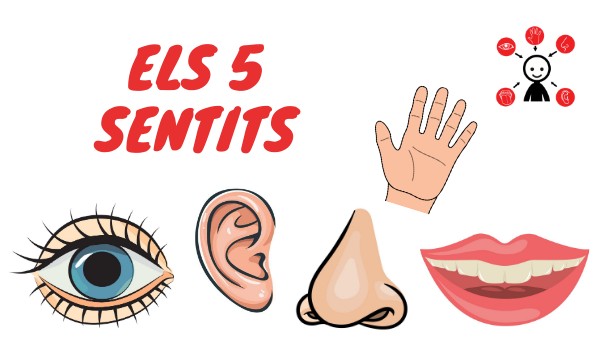 ELS 5 SENTITS