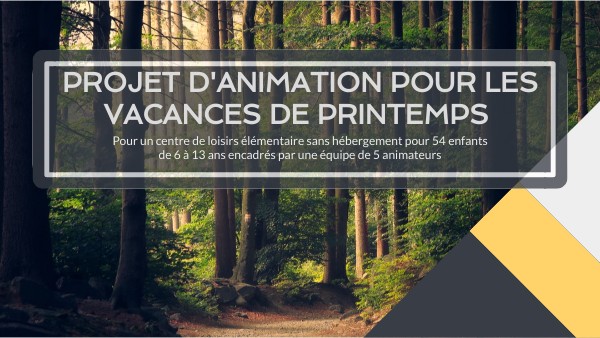 DIAGONAL PROJECT PRESENTATION