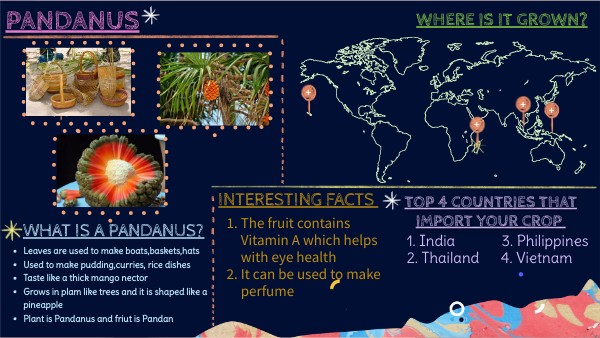 Pandanus Plant Presentation