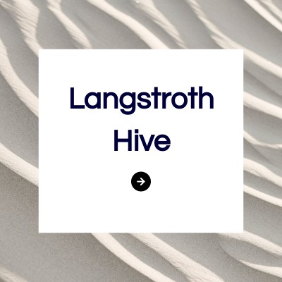 Langstroth Hive | Genially