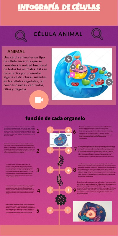 INFO VERTICAL CÉLULAS | Genially